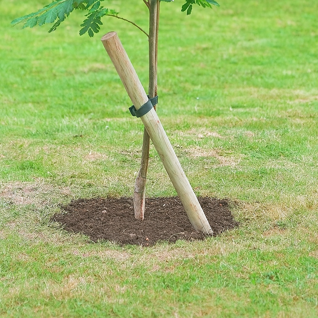 Gardman 17″ Heavy Duty Tree Ties | Hedge Plants from Ireland